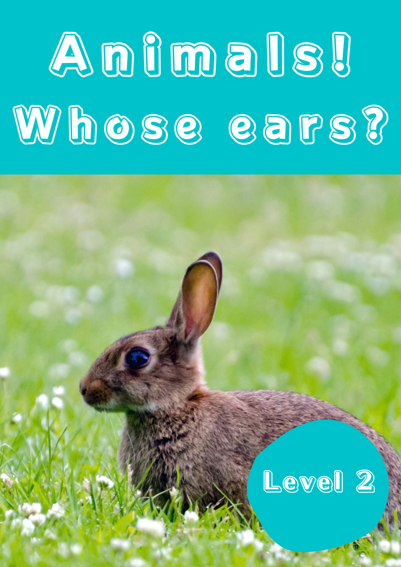 Reading – Animals! Whose ears? – TALK ENGLISH